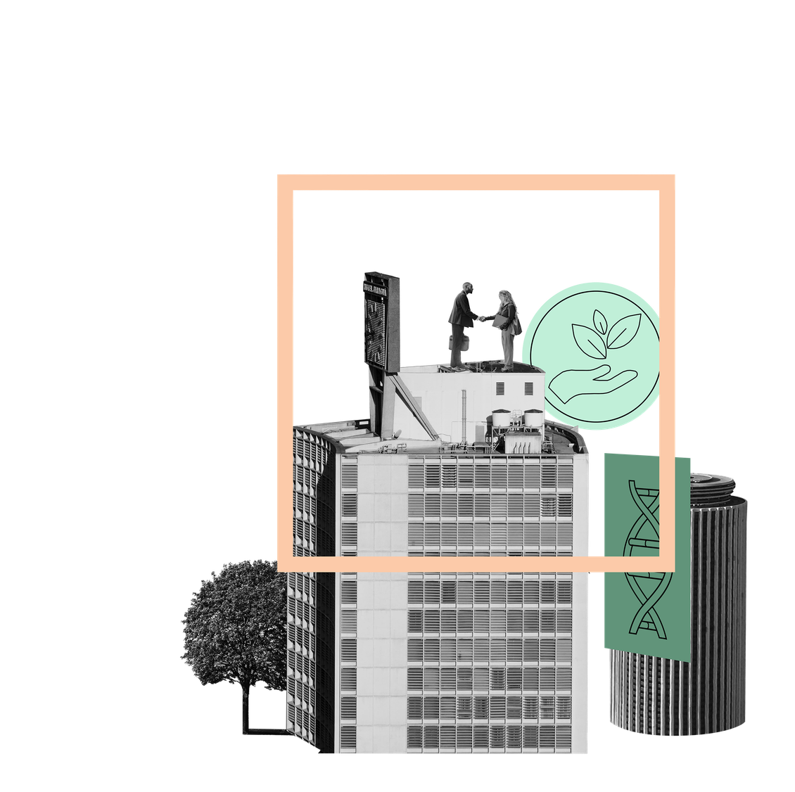 Professional Subscriptions | FT Professional